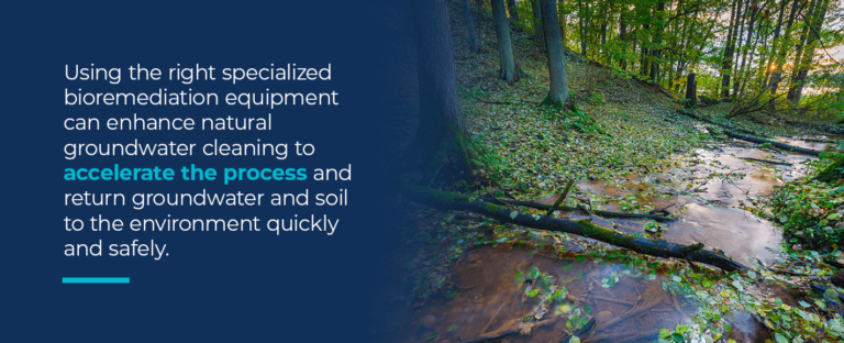 What Is Bioremediation? | Examples, Types & Benefits