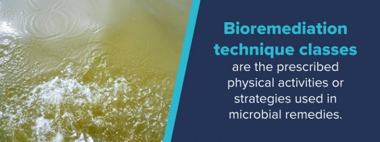 Guide to Bioremediation: Bioremediation Benefits & More