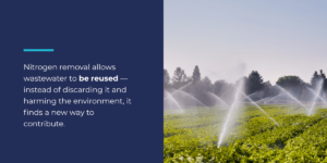 Removing Nitrogen From Wastewater | The Complete Guide