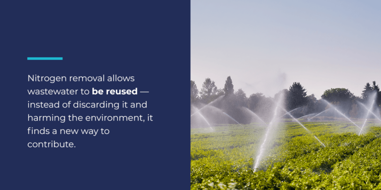 Removing Nitrogen From Wastewater | The Complete Guide